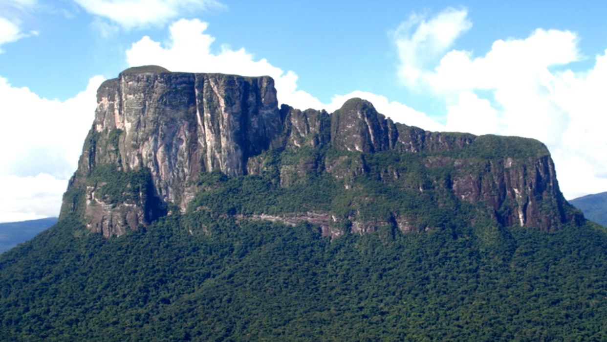 Andrés Palladino Sisto: Explorando la Cueva del Cerro Autana, el Árbol ...